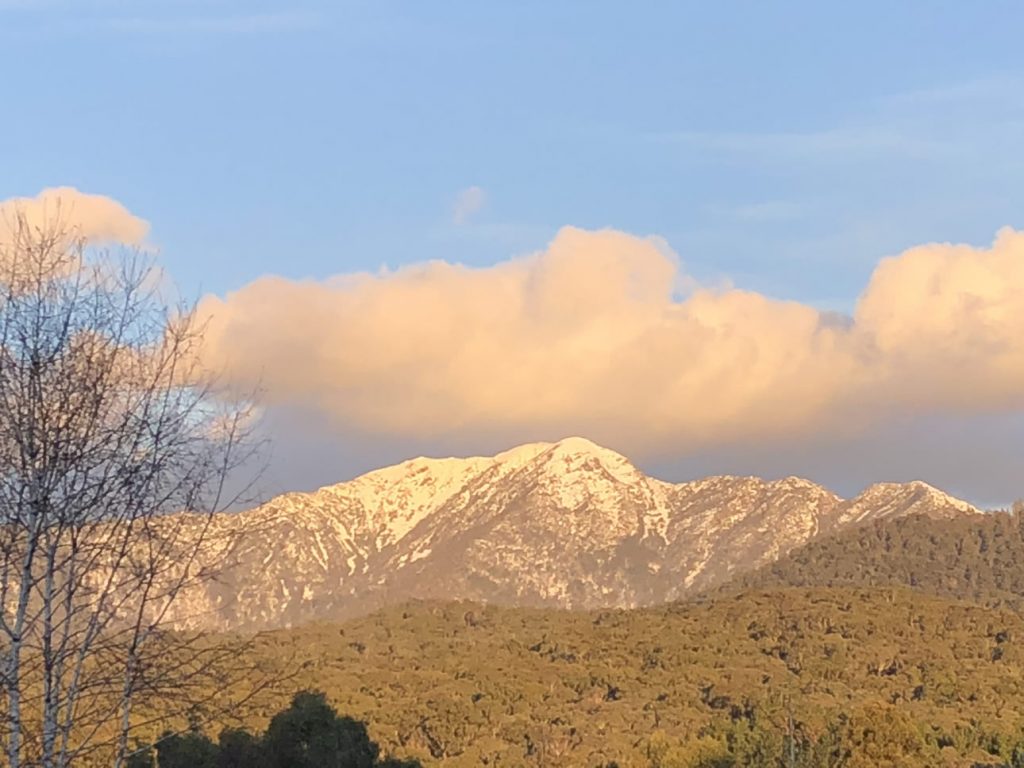 Home - ViewBuller@Merrijig